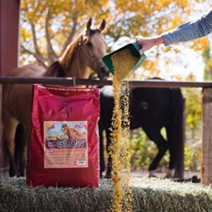 Horse Guard Glow 40 lb, Aids in Weight Gain and Improves Coat and Condition, Includes Omega-3’s