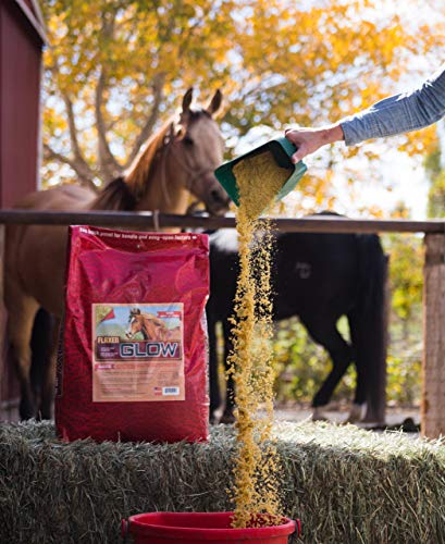 Horse Guard Glow 40 lb, Aids in Weight Gain and Improves Coat and Condition, Includes Omega-3’s