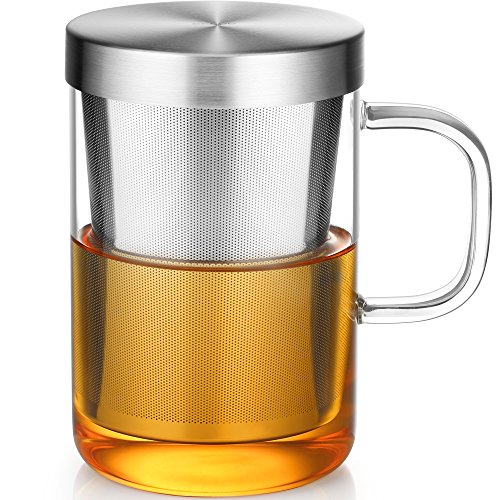 Ecooe 16.9 Oz Borosilicate Glass Tea Mug Cup Tea Glasses with Stainless Steel Infuser & Lid, Loose Leaf Glass Tea Cup Teacup 500mL