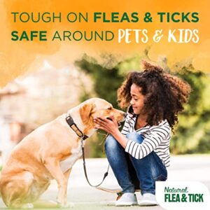 TropiClean Natural Flea and Tick Spray for Dogs & Bedding Maximum Strength Flea Spray for Home Family-Friendly & Safe Made in the USA 16oz