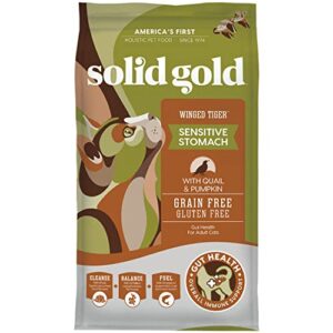 solid gold sensitive stomach dry cat food - made with real quail & pumpkin - winged tiger grain free cat food sensitive stomach for adult & senior cats - supports immune & digestive health - 6lb