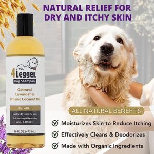 4Legger Organic Dog Shampoo USDA Certified Organic, All Natural Hypoallergenic Dog Shampoo with Oatmeal, Lavender, and Coconut Oil - Organic Oatmeal Shampoo for Dogs - Dog Shampoo for Itchy Skin 16 oz