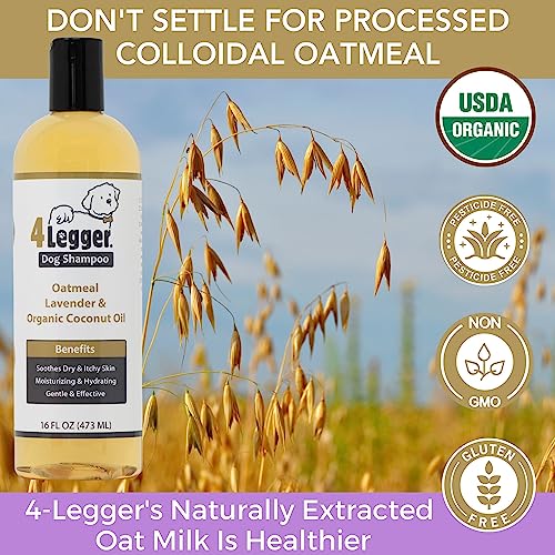 4Legger Organic Dog Shampoo USDA Certified Organic, All Natural Hypoallergenic Dog Shampoo with Oatmeal, Lavender, and Coconut Oil - Organic Oatmeal Shampoo for Dogs - Dog Shampoo for Itchy Skin 16 oz