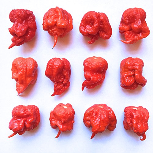 Wayland Chiles Carolina Reaper Seeds (Red)