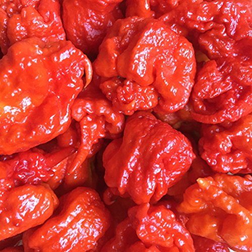 Wayland Chiles Carolina Reaper Seeds (Red)