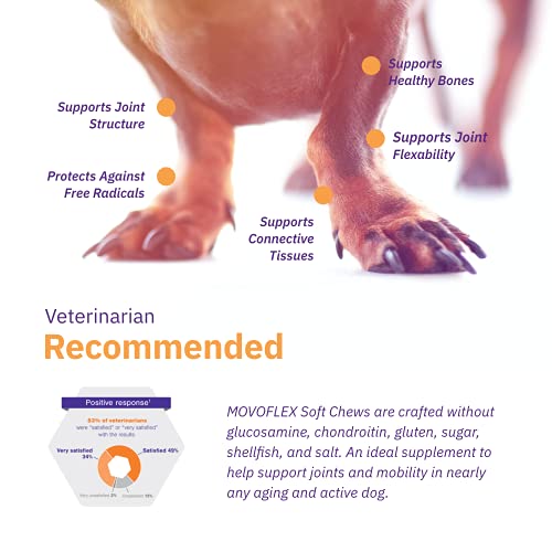 MOVOFLEX Dog Hip & Joint Support for Large Dogs - Veterinarian Formulated - One Chew A Day Serving Size - Gluten Free - 60 Soft Chews