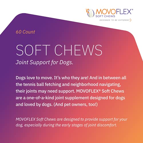 MOVOFLEX Dog Hip & Joint Support for Large Dogs - Veterinarian Formulated - One Chew A Day Serving Size - Gluten Free - 60 Soft Chews