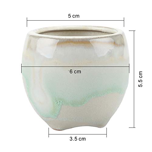 T4U Small Ceramic Succulent Pots with Drainage Set of 6, Mini Pots for Plants, Tiny Porcelain Planter, Air Plant Flower Pots Cactus Faux Plants Containers, Home and Office Decor