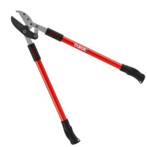 tabor tools gg12a anvil lopper with compound action, 30 inch tree trimmer, branch cutter with ⌀ 2 inch cutting capacity, chops thick branches with ease.