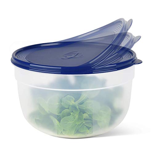 Emsa "Superline" High Food Storage Container, 20.30 oz, Blue