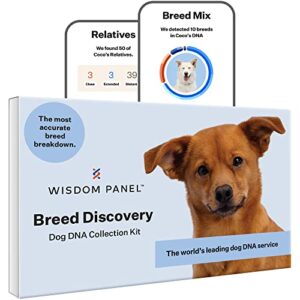 wisdom panel breed discovery dog dna kit: most accurate dog breed identification, test for 350+ breeds, mdr1 health test, ancestry, relatives