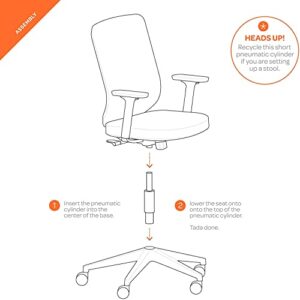 Poppin Mid Back Max Task Chair - Dark Gray Cushions + White Frame, Curvy Mesh Backrest, Adjustable Recliner, Armrest and Height Settings, 5 Caster Wheels for Easy Movement