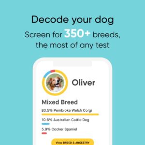 Embark | Dog DNA Test | Breed & Health Kit | Breed Identification & Canine Genetic Health Screening