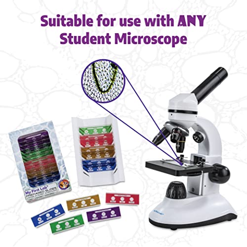 Prepared Microscope Slide Kit (72 Specimens) for Basic to Intermediate Biological Education - Shatterproof Microscope Slides for Kids w/ 72 Unique Specimens of Plants, Algae, Pollen & More