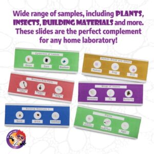 Prepared Microscope Slide Kit (72 Specimens) for Basic to Intermediate Biological Education - Shatterproof Microscope Slides for Kids w/ 72 Unique Specimens of Plants, Algae, Pollen & More