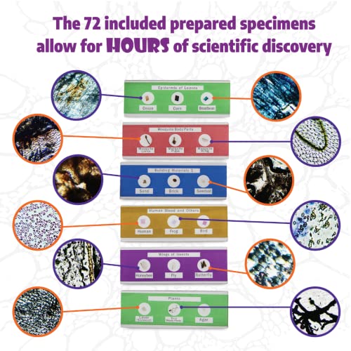 Prepared Microscope Slide Kit (72 Specimens) for Basic to Intermediate Biological Education - Shatterproof Microscope Slides for Kids w/ 72 Unique Specimens of Plants, Algae, Pollen & More