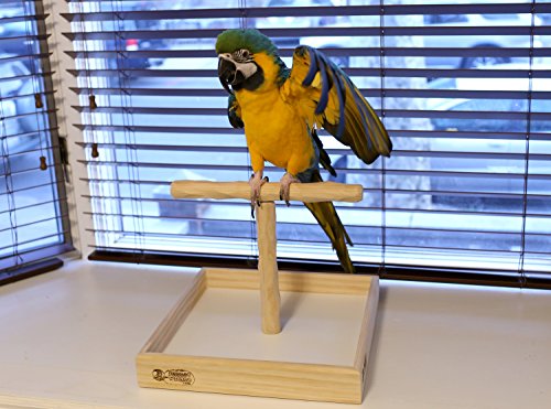 Deluxe Large Tabletop NU Perch - Parrot T Perch Stand Large