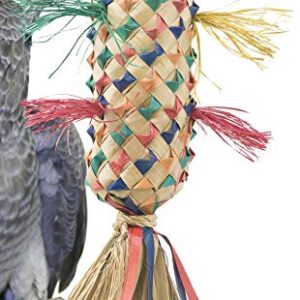 03114 Medium Spiked Pinata Bird Toy Cage Toys Cages Foraging Chew Shredder