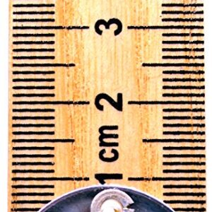 Double Sided Meter Stick - Hardwood Metric Meter Stick, Horizontal Reading & Protective Metal Ends - Eisco Labs