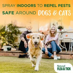 TropiClean Natural Flea and Tick Spray for Home | Maximum Strength Flea Spray for Carpet and Furniture | Family-Friendly & Safe | Made in the USA | 32oz