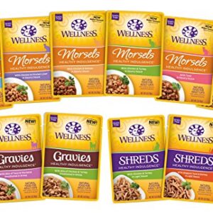 Wellness Healthy Indulgence Wet Cat Food Pouch Variety Pack, 10 Flavors, 3-Ounces Each (10 Pack)