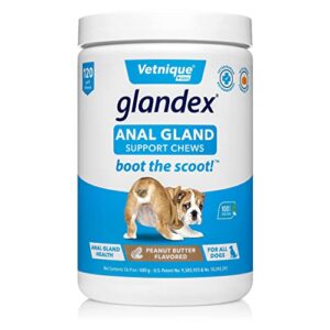 glandex anal gland soft chew treats with pumpkin for dogs digestive enzymes, probiotics fiber supplement for dogs boot the scoot (peanut butter chews, 120ct)