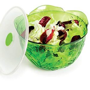 Plastic Snips Saver Salad Keeper 4 Liters, Green, One Size