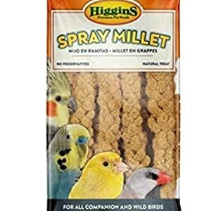 Higgins 466557 Bird Food Formula, One Size