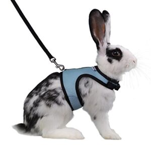 niteangel adjustable soft harness with elastic leash for rabbits (l, blue)