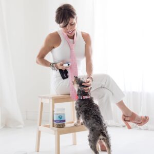 Doggie Don't Device- Handheld Sound Only Dog Training Corrector- Better and More Humane Than a Shock Collar- Stop Barking and Other Naughty Behaviors - Created by a Dog Lover in The USA