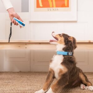 Doggie Don't Device- Handheld Sound Only Dog Training Corrector- Better and More Humane Than a Shock Collar- Stop Barking and Other Naughty Behaviors - Created by a Dog Lover in The USA