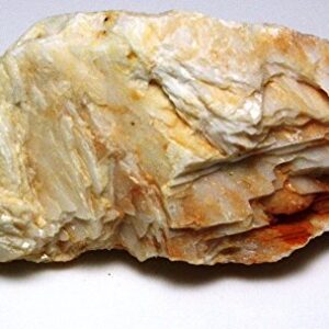 Barite Bologna Stone - Pack of 2 Unpolished Minerals