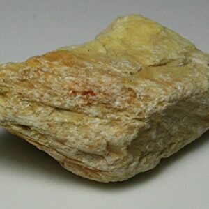 Barite Bologna Stone - Pack of 2 Unpolished Minerals