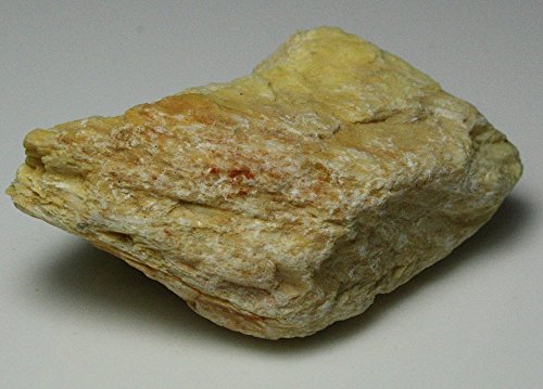 Barite Bologna Stone - Pack of 2 Unpolished Minerals