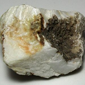 Barite Bologna Stone - Pack of 2 Unpolished Minerals