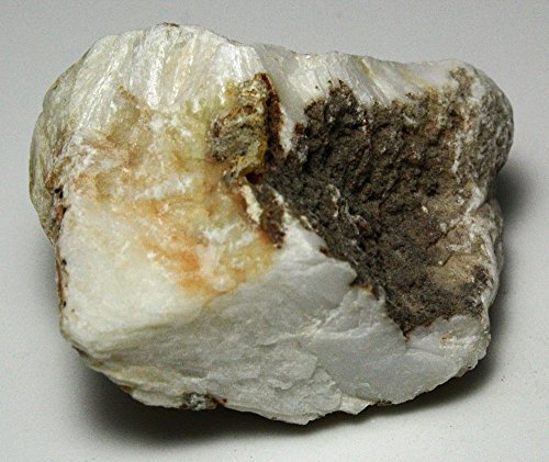 Barite Bologna Stone - Pack of 2 Unpolished Minerals