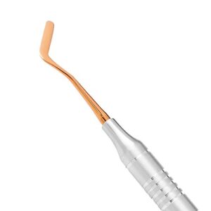 2 Goldstein Flexi-Thin Composite Contouring Instrument, Paddle & Plugger