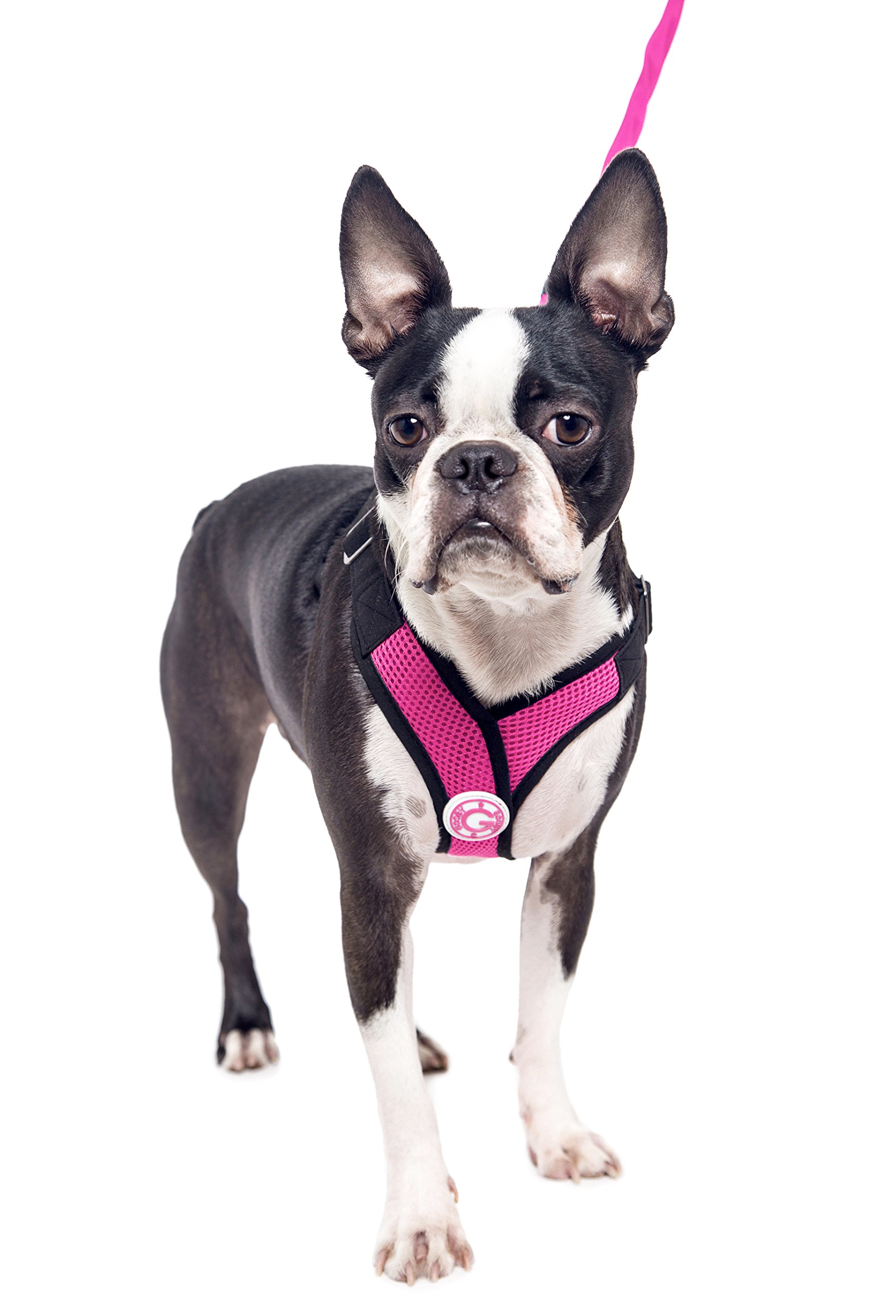 Gooby - X Harness, Small Dog Choke Free Step-in Harness with Synthetic Lambskin Soft Strap, Flamingo Pink, Large