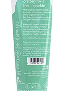 RADIUS USDA Organic Toothpaste 3oz Non Toxic Chemical-Free Gluten-Free Designed to Improve Gum Health & Prevent Cavity - Mint Aloe Neem - Pack of 1