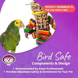 Super Bird Creations SB887 Rolie Polie Bird Toy, Large Bird Size, 13" x 8" x 8"