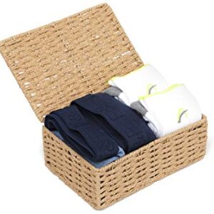 Arpan Natural Paper Rope Storage Basket Box With Lid (Small)