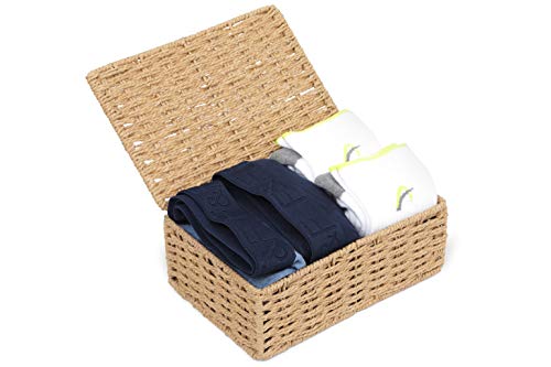 Arpan Natural Paper Rope Storage Basket Box With Lid (Small)