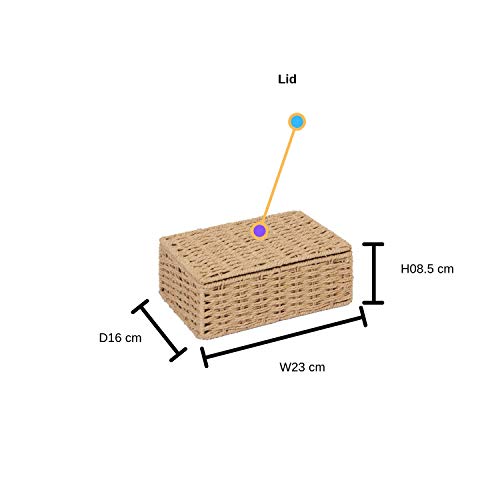 Arpan Natural Paper Rope Storage Basket Box With Lid (Small)