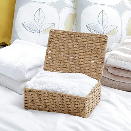 Arpan Natural Paper Rope Storage Basket Box With Lid (Small)