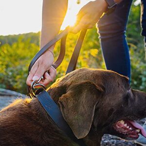 Mighty Paw Leather Dog Leash | 5 ft Leash Super Soft Distressed Real Genuine Leather- Premium Quality, Modern Stylish Lead. Perfect for Small, Medium and Large Pets Brown