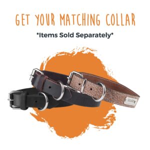 Mighty Paw Leather Dog Leash | 5 ft Leash Super Soft Distressed Real Genuine Leather- Premium Quality, Modern Stylish Lead. Perfect for Small, Medium and Large Pets Brown