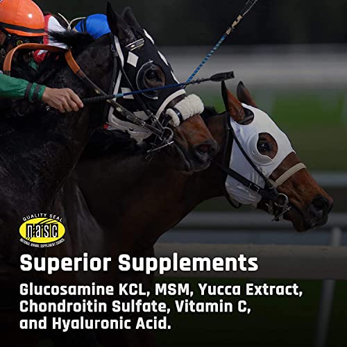 Majesty's Flex HA Wafers - Superior Performance Horse / Equine Joint Support Supplement - HA, Vitamin C, Yucca, Glucosamine - 30 Count (1 Month Supply)