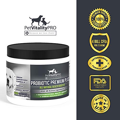 PetVitalityPRO Probiotics for Dogs with Natural Digestive Enzymes ● 4 Bill CFUs/2 Soft Chews ● Dog Diarrhea Upset Stomach Yeast Gas Bad Breath Immunity Allergies Skin Itching Hot Spots ● 60 Count