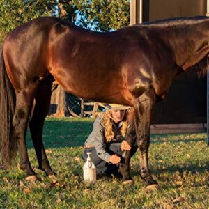 Draw It Out Liniment Gel - Veterinary Strength - Odorless and Colorless - Pain Relief Topical Analgesic Horse Cream for Joint and Muscle Pain - Natural Mineral - 64 oz