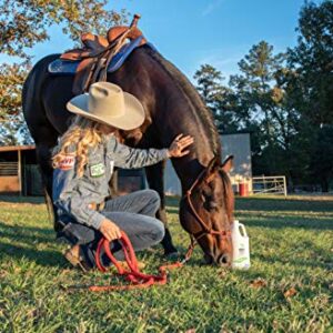 Draw It Out Liniment Gel - Veterinary Strength - Odorless and Colorless - Pain Relief Topical Analgesic Horse Cream for Joint and Muscle Pain - Natural Mineral - 64 oz